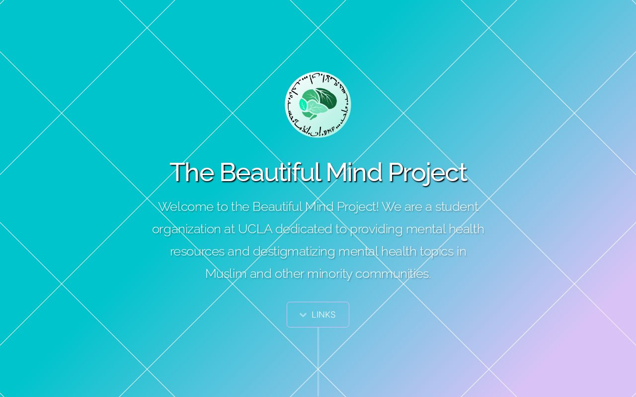 The Beautiful Mind Project at UCLA